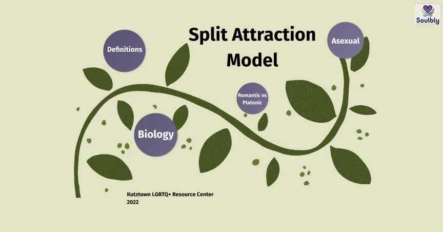 Understanding the Split Attraction Model (SAM)- Full Guide